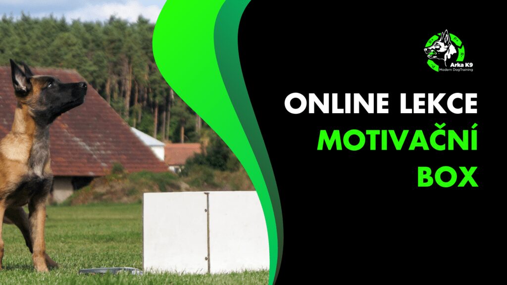 Motivační Box | Arka K9